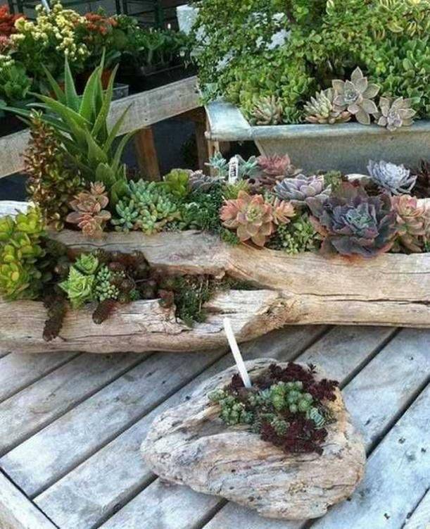 18 DIY Tree Stump Garden Ideas Container You Should Check | SharonSable