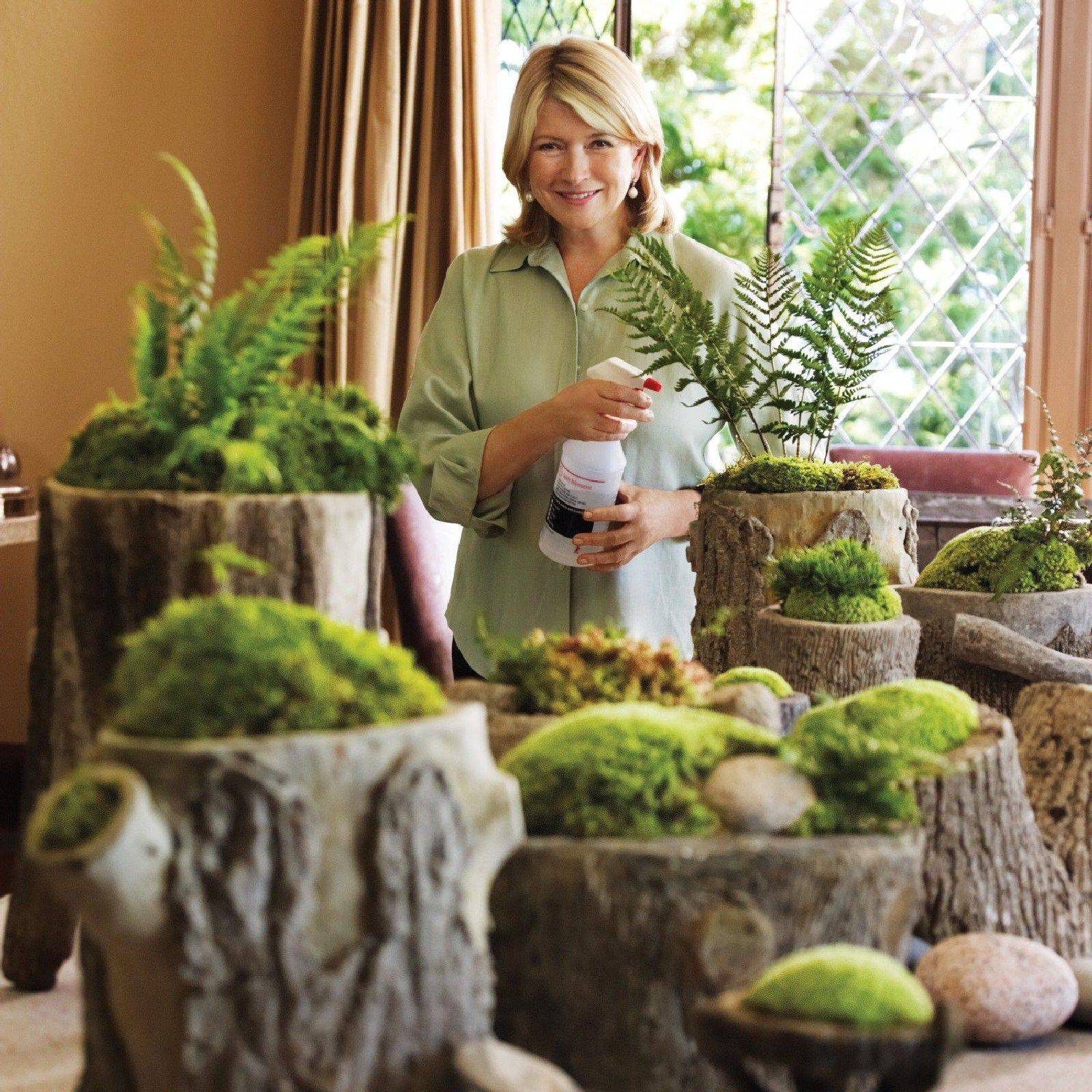 18 DIY Tree Stump Garden Ideas Container You Should Check | SharonSable