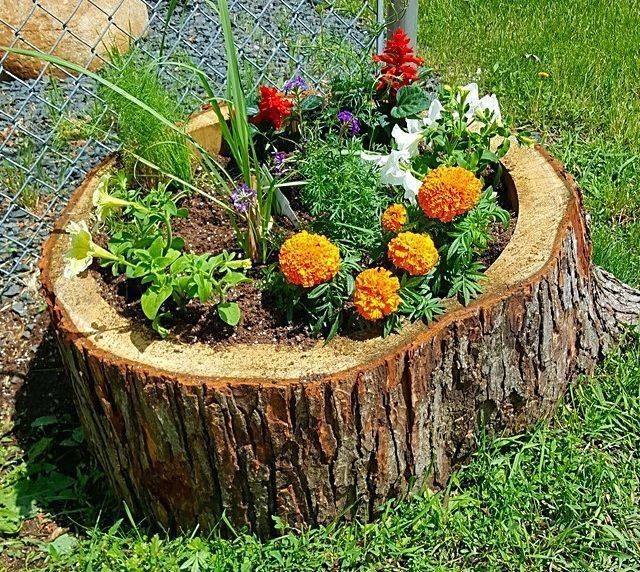 18 DIY Tree Stump Garden Ideas Container You Should Check | SharonSable