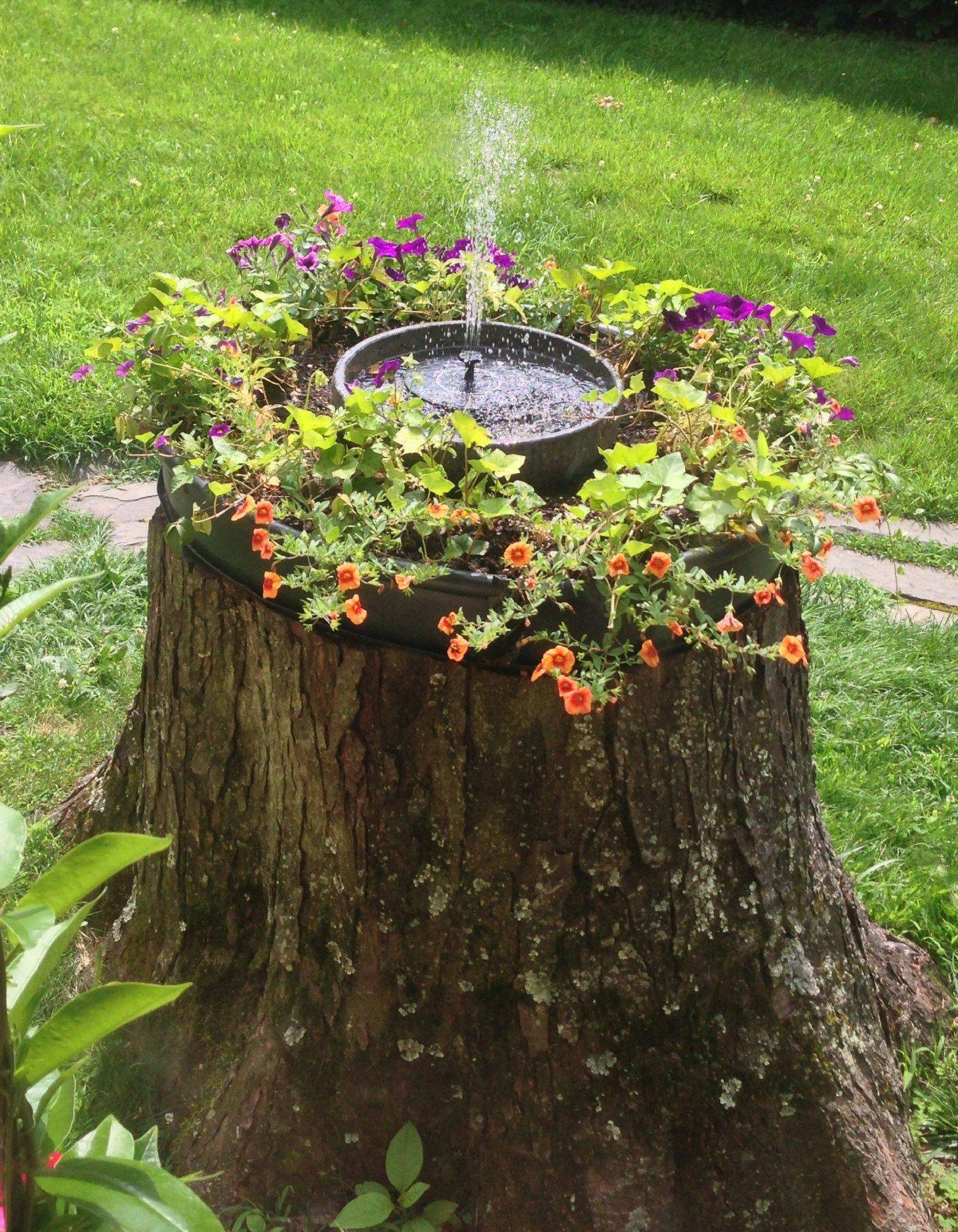 18 DIY Tree Stump Garden Ideas Container You Should Check | SharonSable