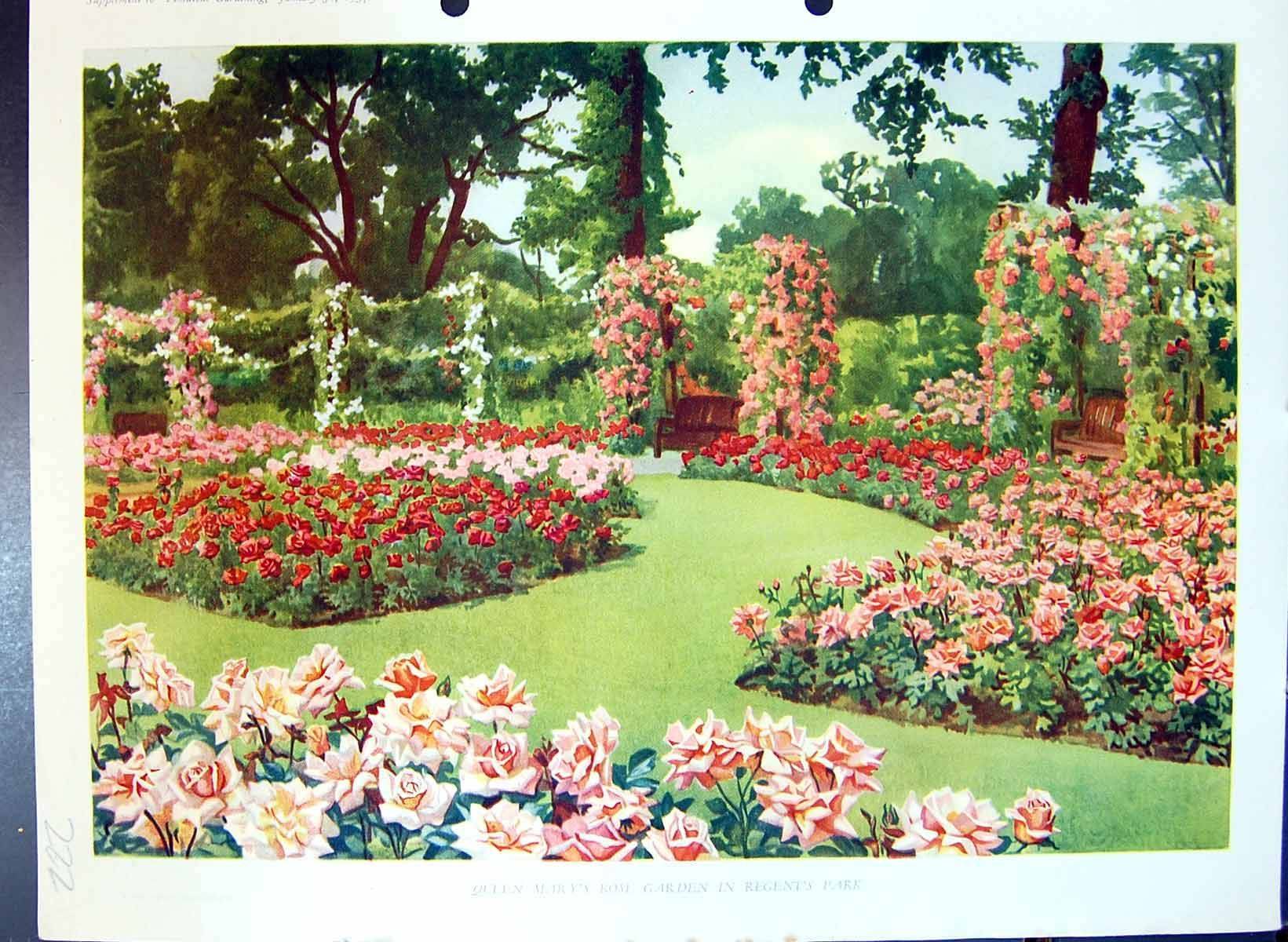 21 Victorian Rose Garden Ideas You Should Look | SharonSable