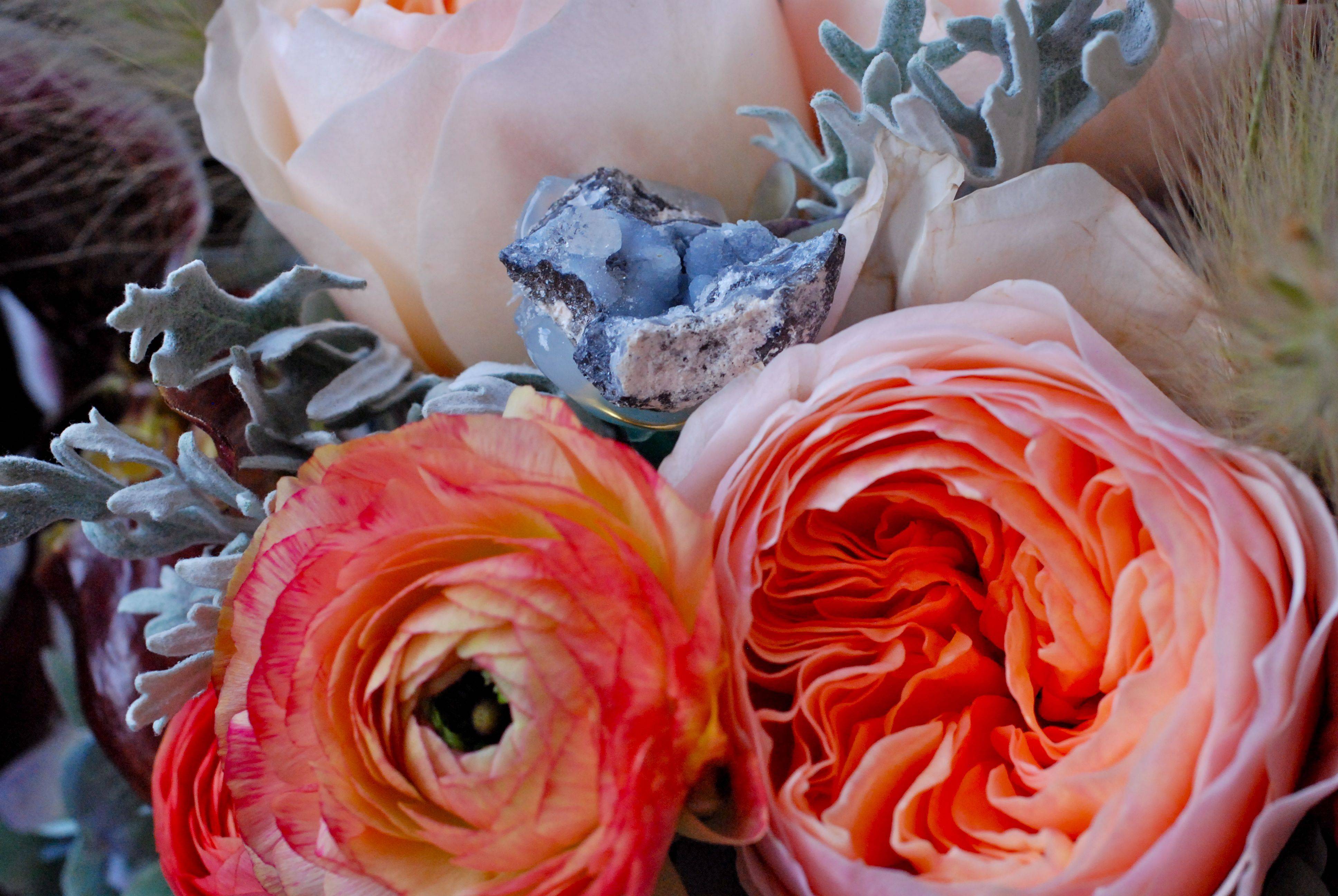 20 Cabbage Rose Garden Ideas Worth to Check | SharonSable