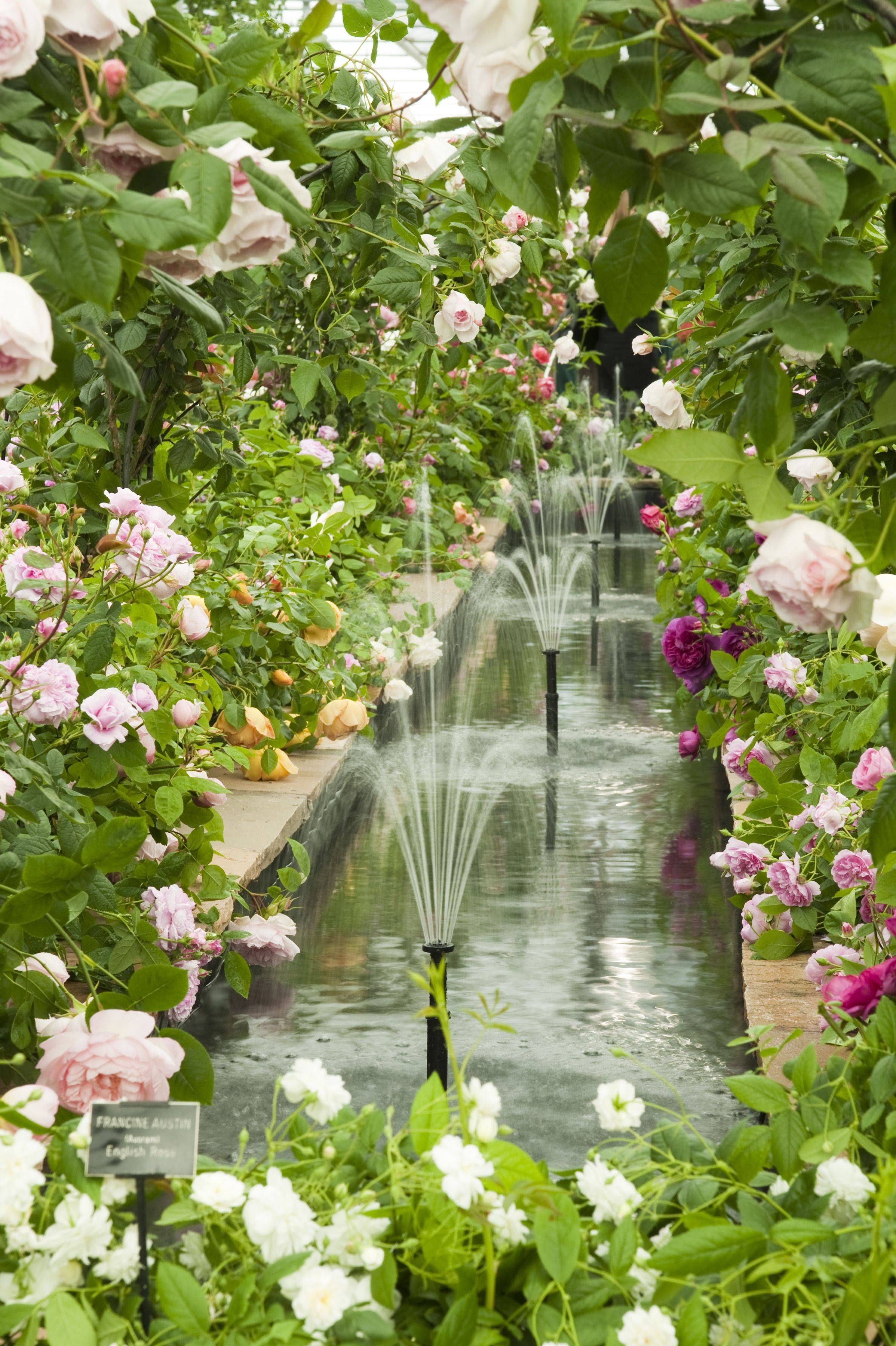 23 English Rose Garden with Fountains Ideas To Consider | SharonSable