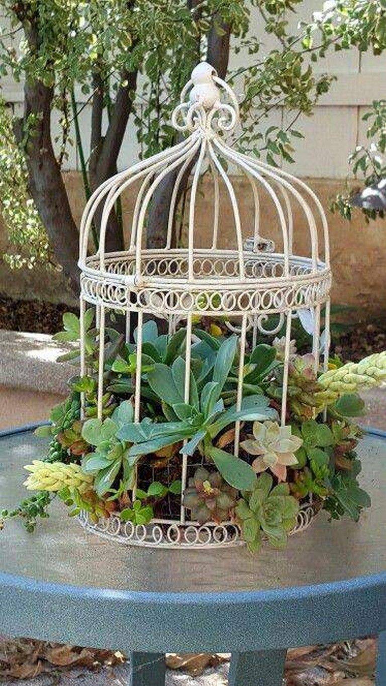 22 Bird Cage Garden Ideas You Gonna Love | SharonSable
