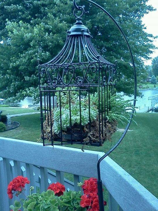 22 Bird Cage Garden Ideas You Gonna Love | SharonSable