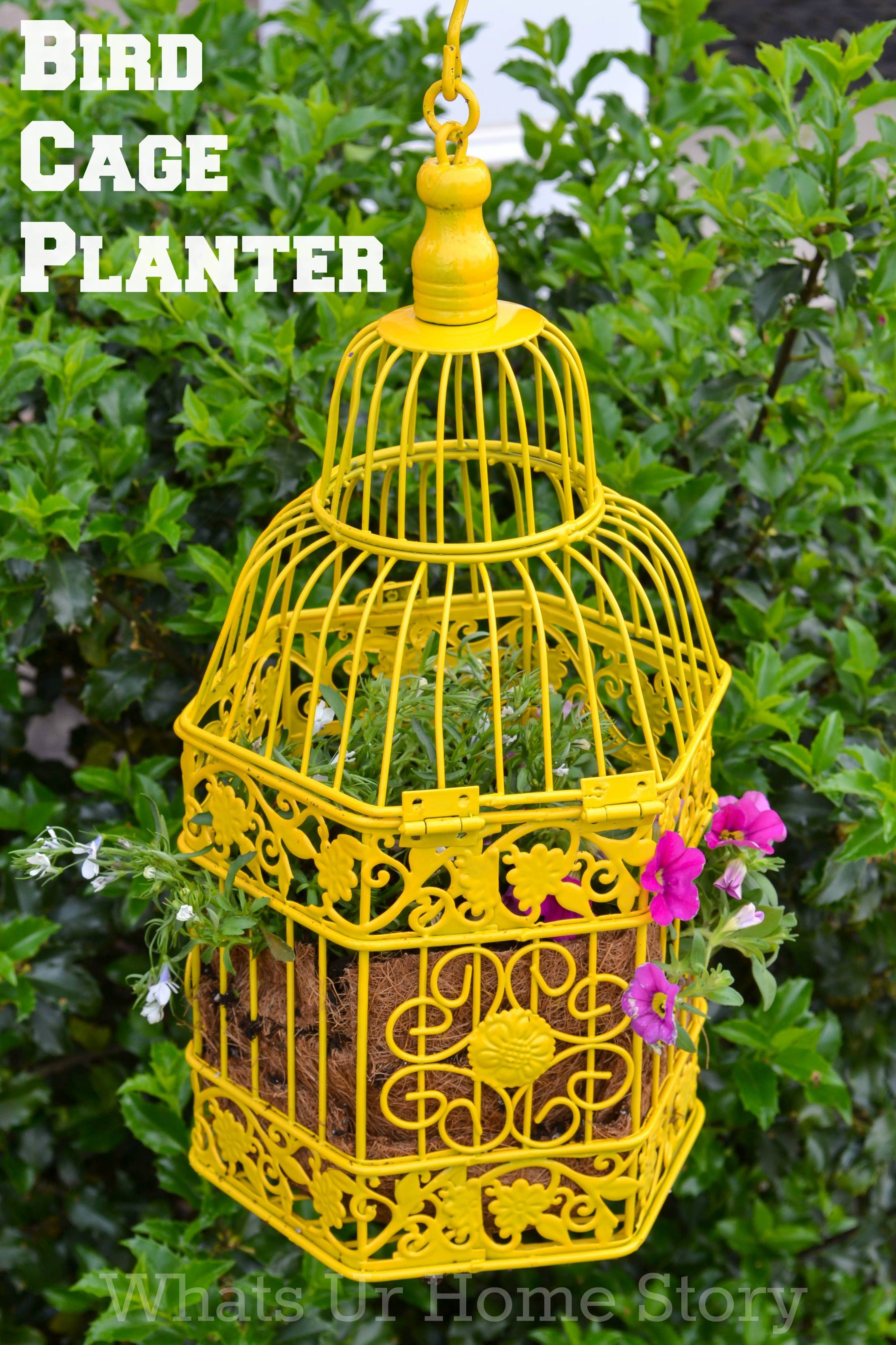 22 Bird Cage Garden Ideas You Gonna Love | SharonSable