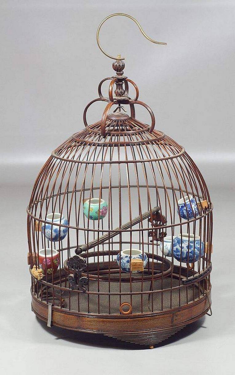 22 Bird Cage Garden Ideas You Gonna Love | SharonSable