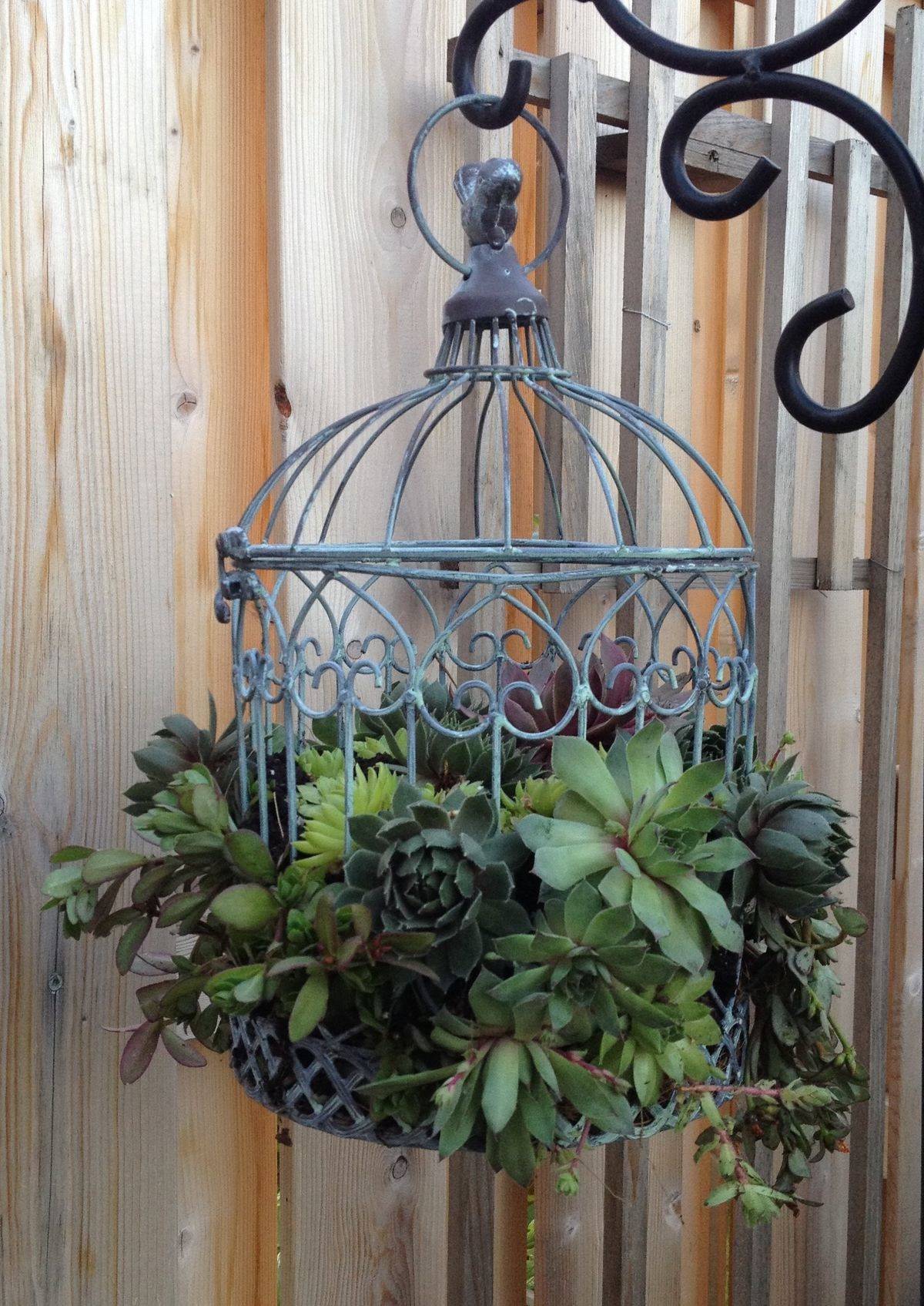 22 Bird Cage Garden Ideas You Gonna Love | SharonSable