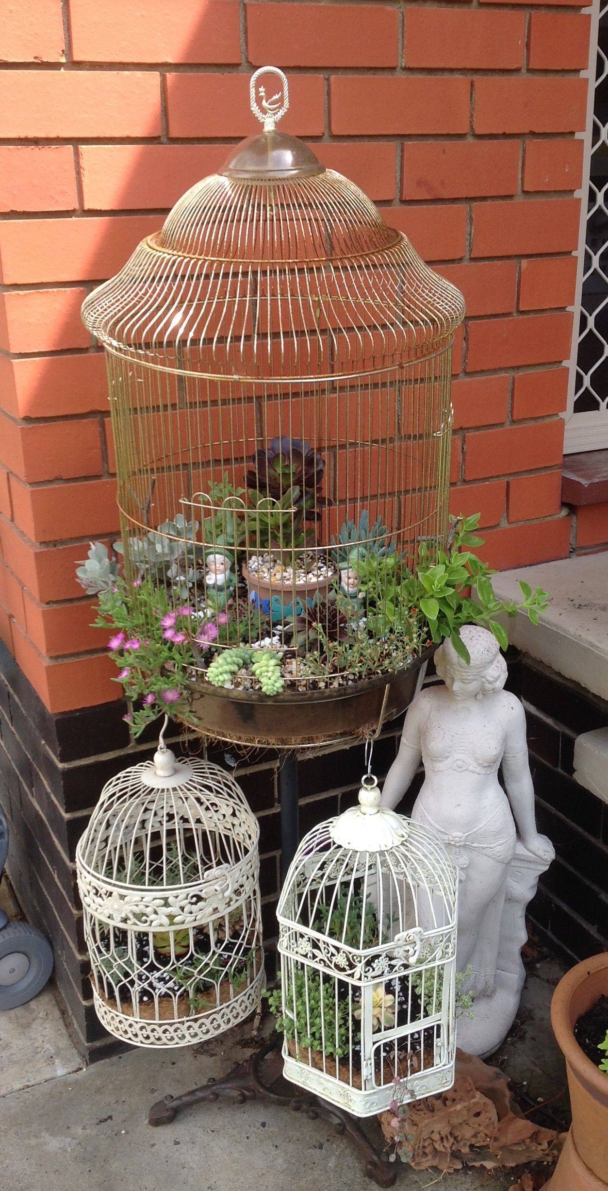 22 Bird Cage Garden Ideas You Gonna Love | SharonSable