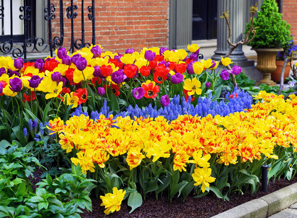 21 Colorful Garden Ideas Worth to Check | SharonSable