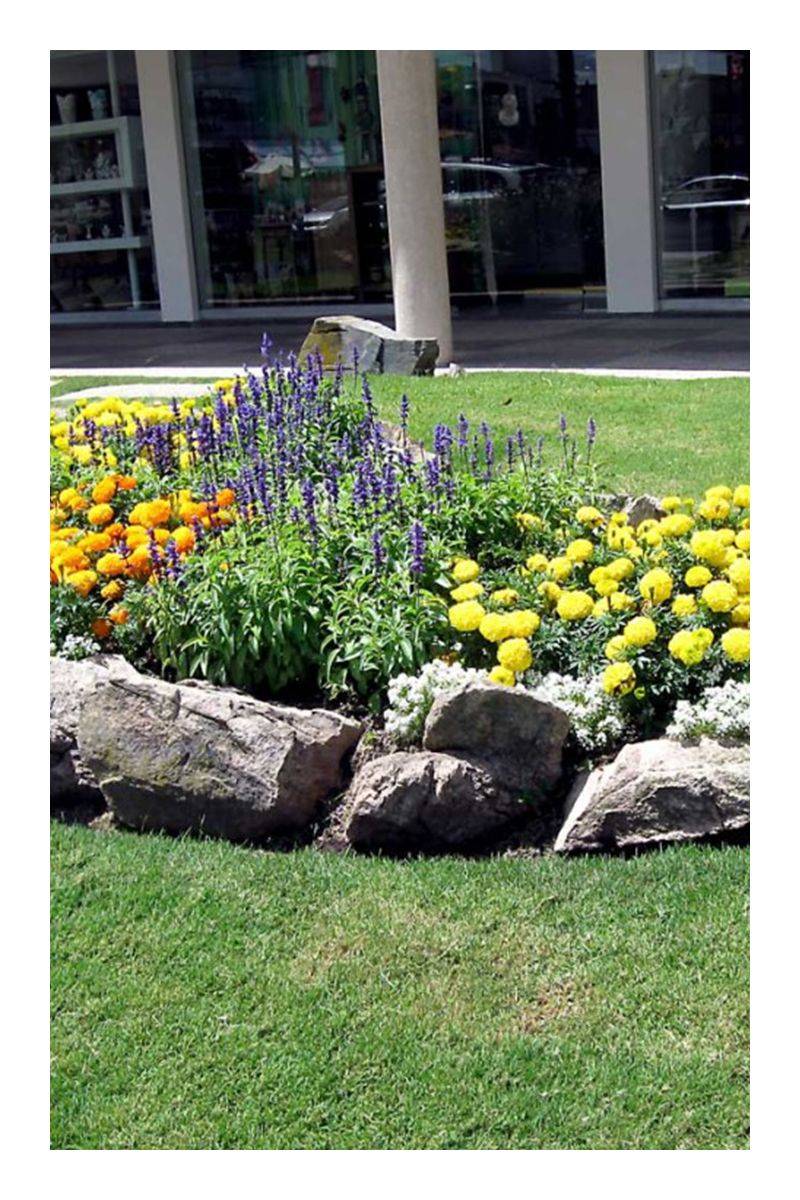 22 Colorful Perennial Garden Ideas For This Year | SharonSable