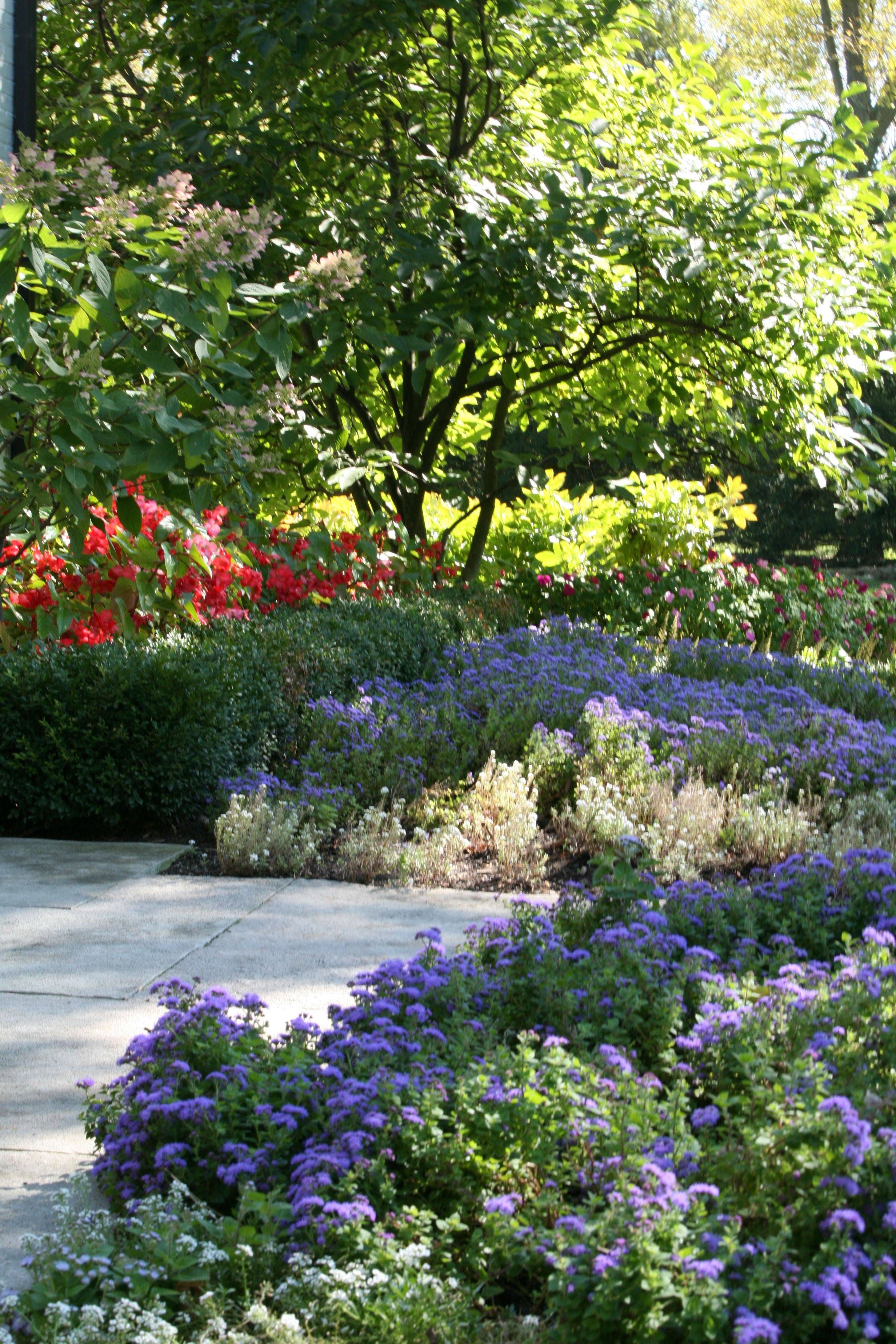 23 Bright Garden Ideas You Should Look | SharonSable