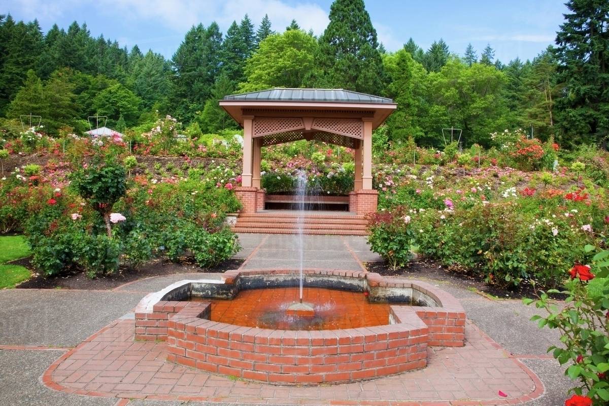 23 Portland Rose Garden Fountain Ideas To Try This Year | SharonSable