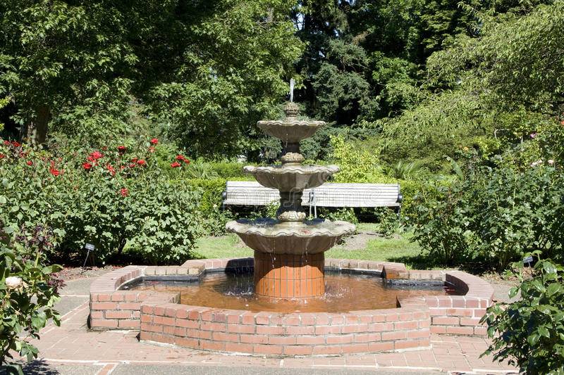 23 Portland Rose Garden Fountain Ideas To Try This Year | SharonSable