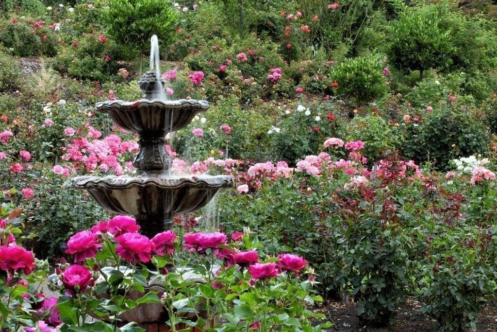 23 Portland Rose Garden Fountain Ideas To Try This Year | SharonSable
