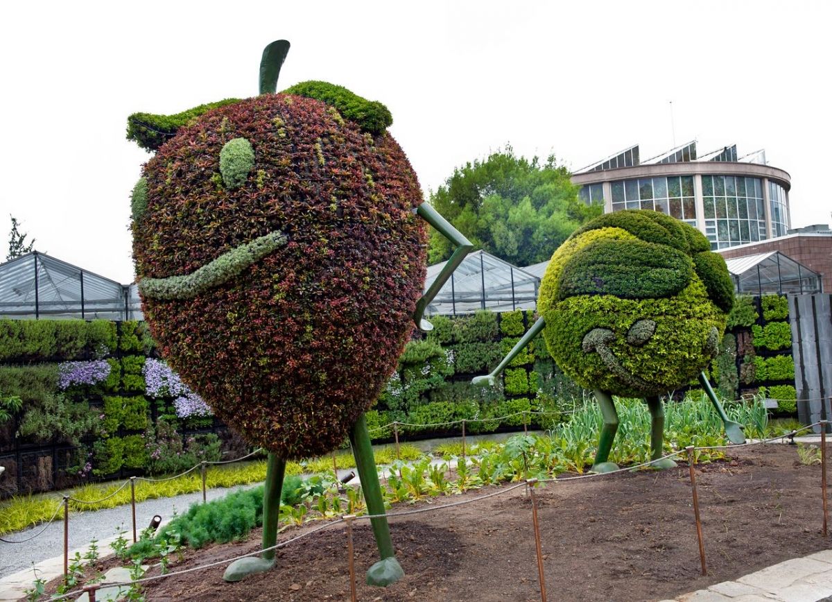 21 Atlanta Botanical Garden Topiaries Ideas To Try This Year | SharonSable