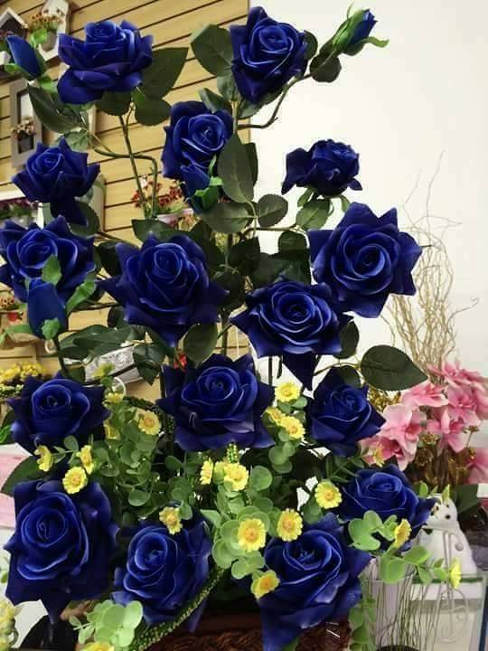 19 Blue Rose Flower Garden Ideas You Cannot Miss | SharonSable