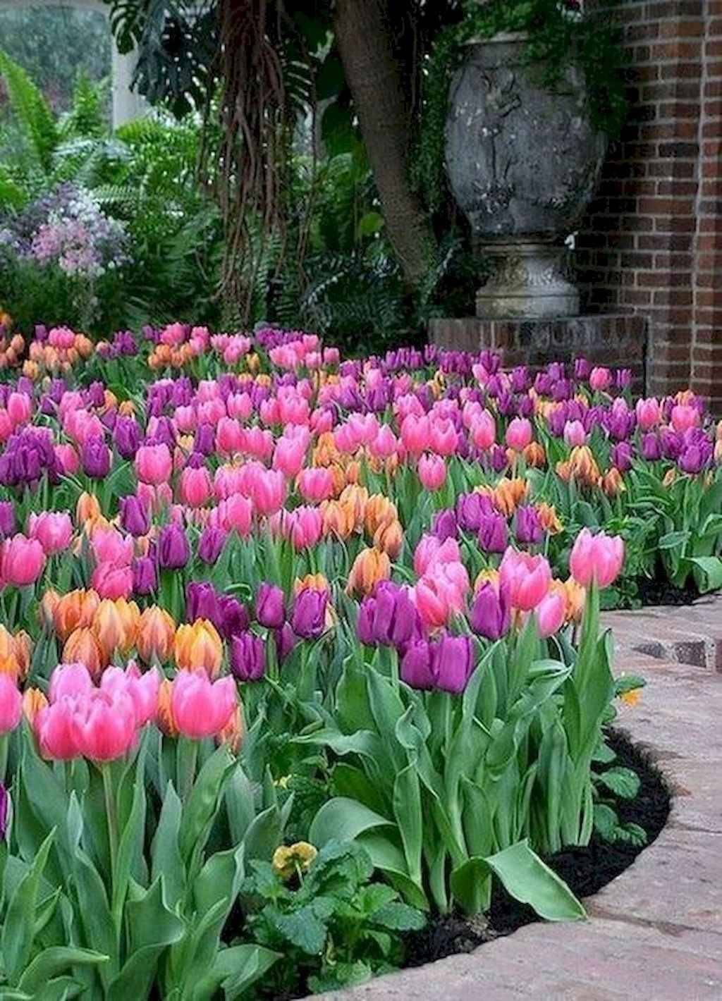 23 Beautiful Tulip Garden Ideas You Should Look | SharonSable