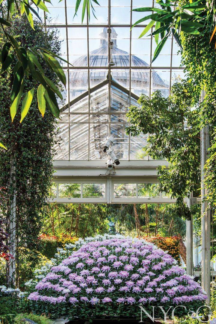 19 Botanical Garden Bronx NYC Ideas Worth to Check | SharonSable