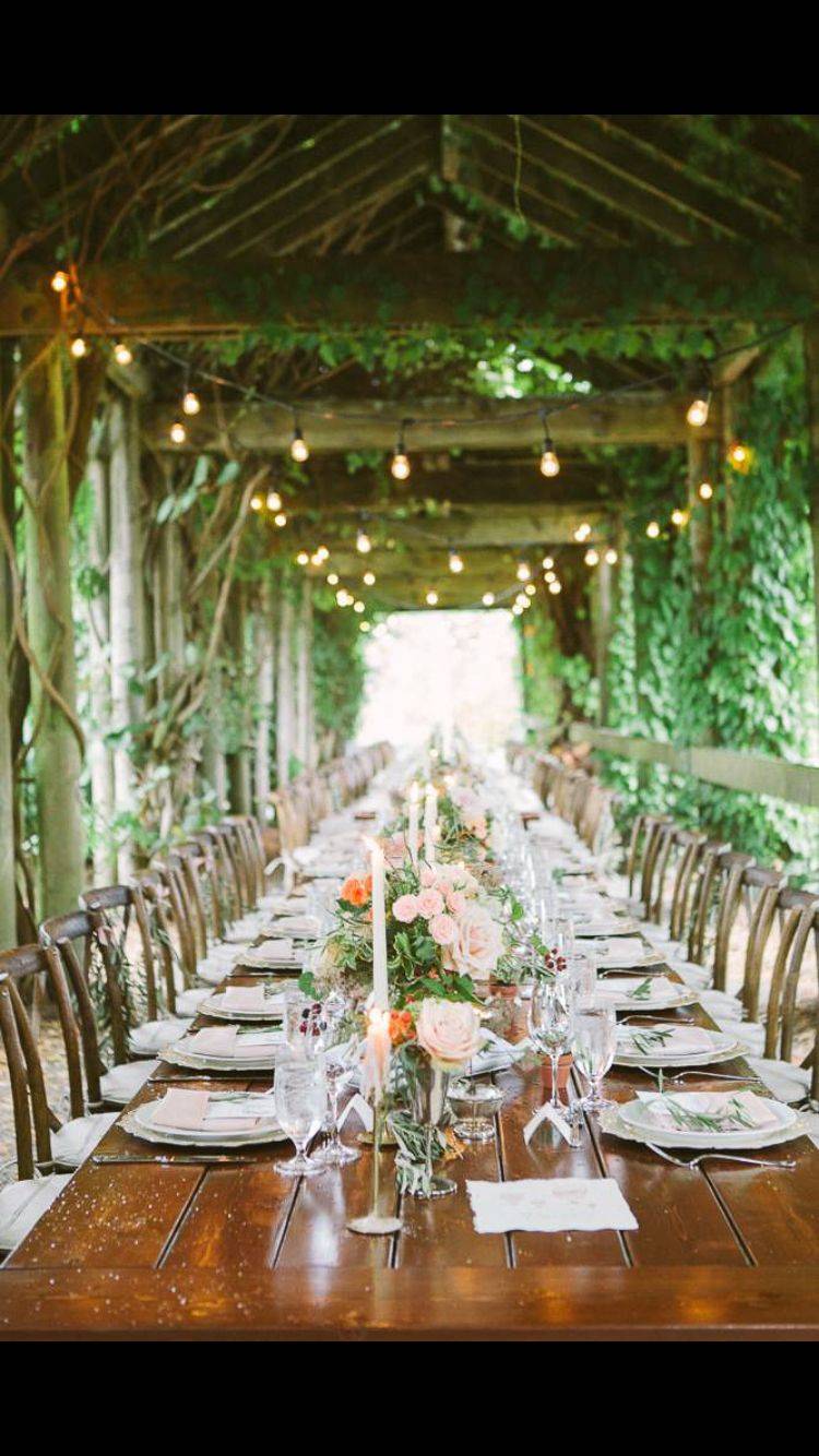 22 Botanical Garden Wedding Ideas To Try This Year | SharonSable
