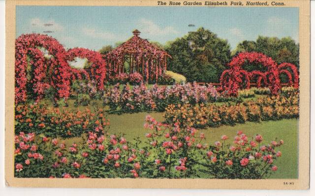 24 Elizabeth Park Rose Garden Ideas To Consider | SharonSable