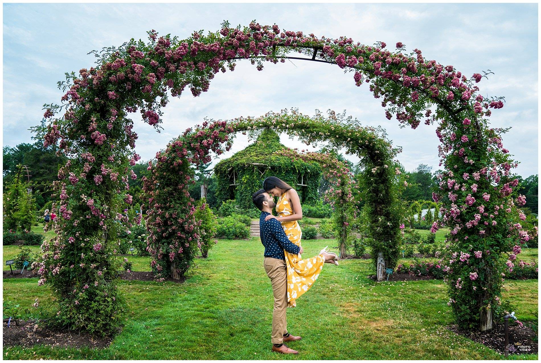 24 Elizabeth Park Rose Garden Ideas To Consider | SharonSable