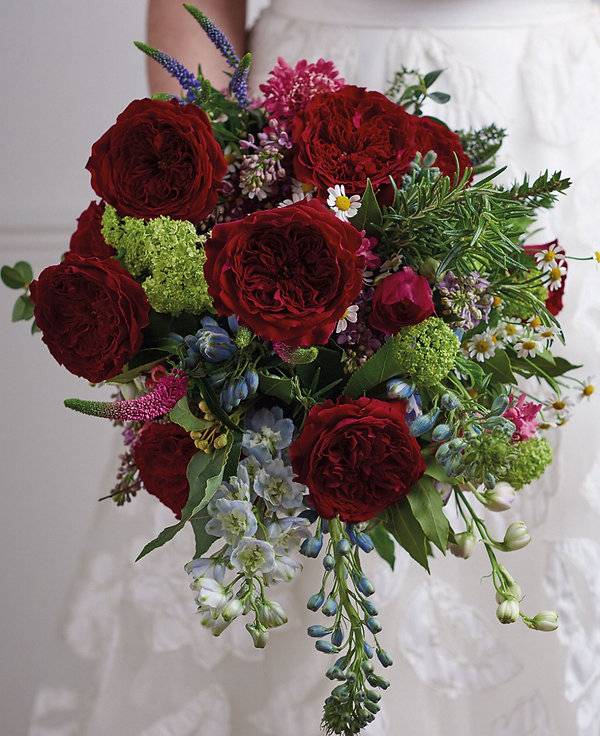 21 Tess Garden Rose Ideas To Consider | SharonSable