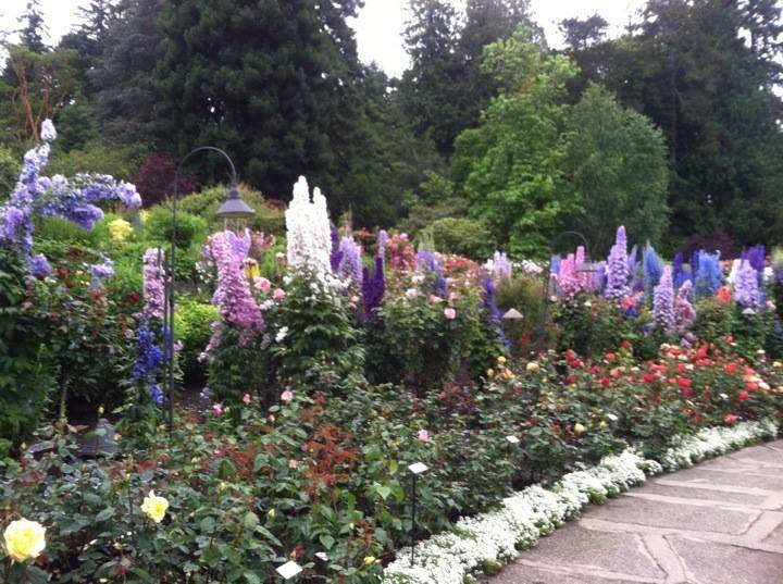 23 Victoria Flower Garden Ideas To Try This Year | SharonSable