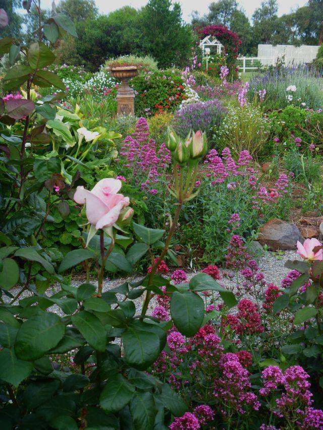 23 Victoria Flower Garden Ideas To Try This Year | SharonSable