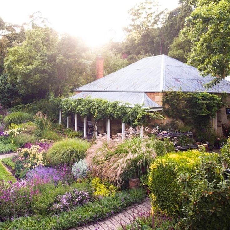 24 Victorian Garden Plants Ideas Worth to Check | SharonSable