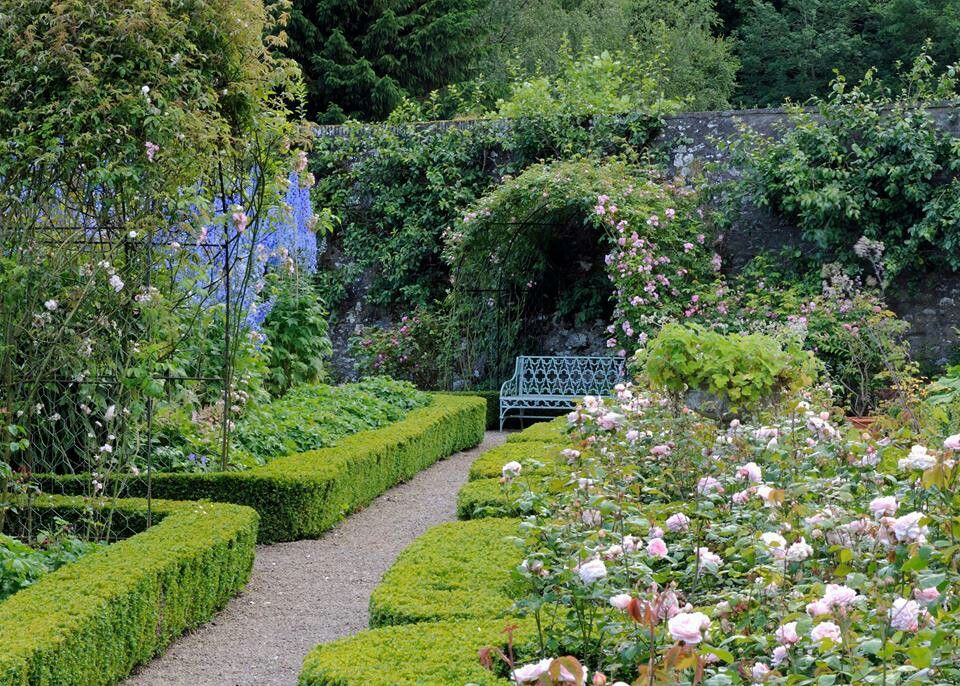 24 Victorian Garden Plants Ideas Worth to Check | SharonSable