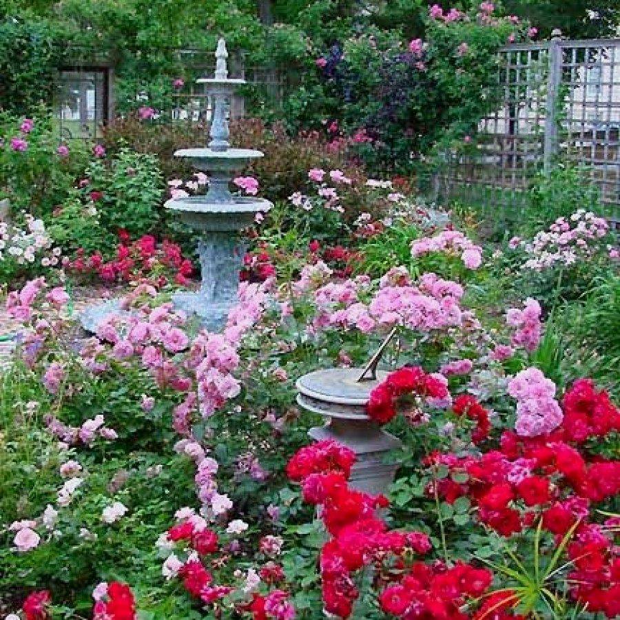 20 DIY Rose Garden Ideas For This Year | SharonSable