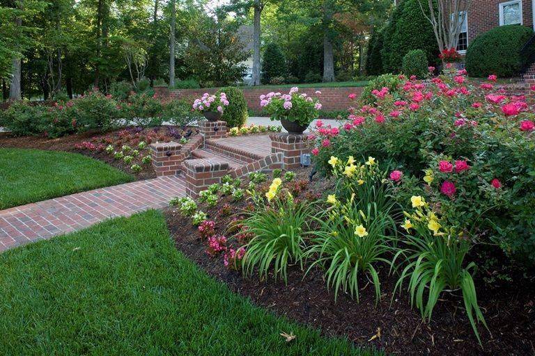 24 Knockout Rose Garden Ideas Worth a Look | SharonSable