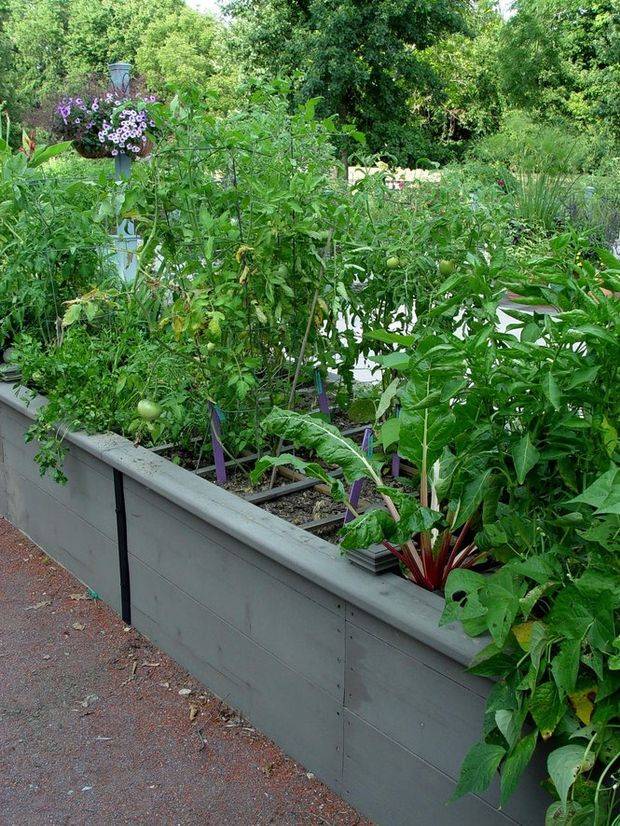 21 Painted Raised Garden Beds Ideas To Try This Year | SharonSable