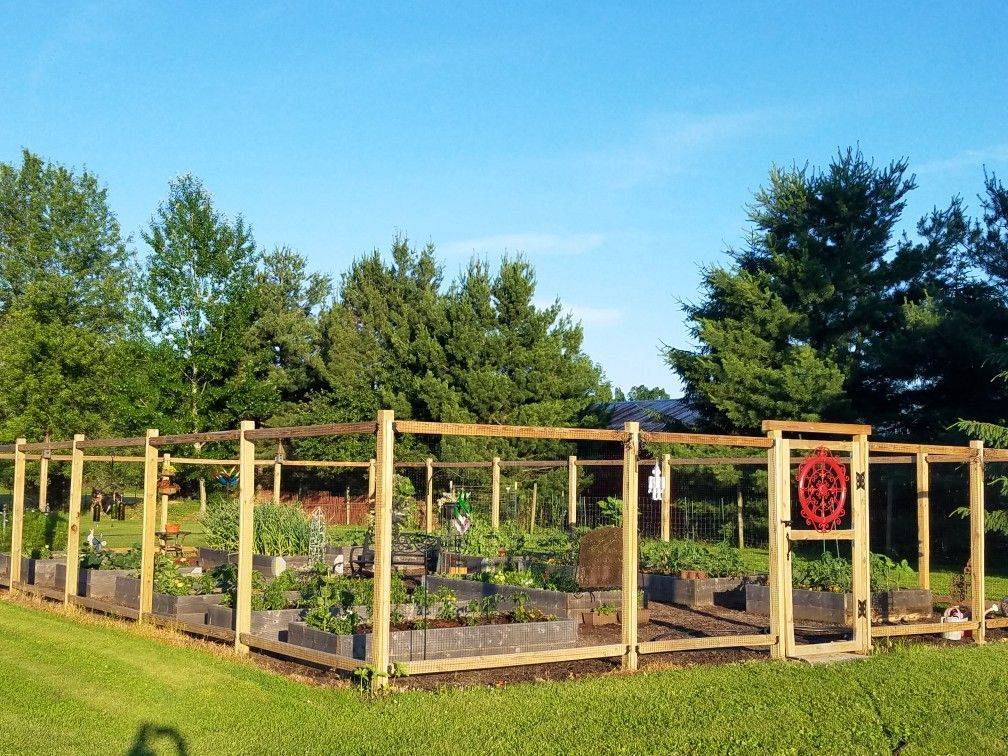 22 Raised Garden Bed with Deer Fence Ideas You Should Check | SharonSable