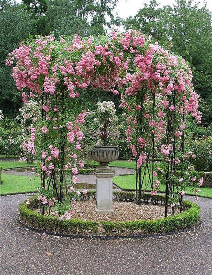 22 Rose Garden Inspirations Ideas You Cannot Miss | SharonSable