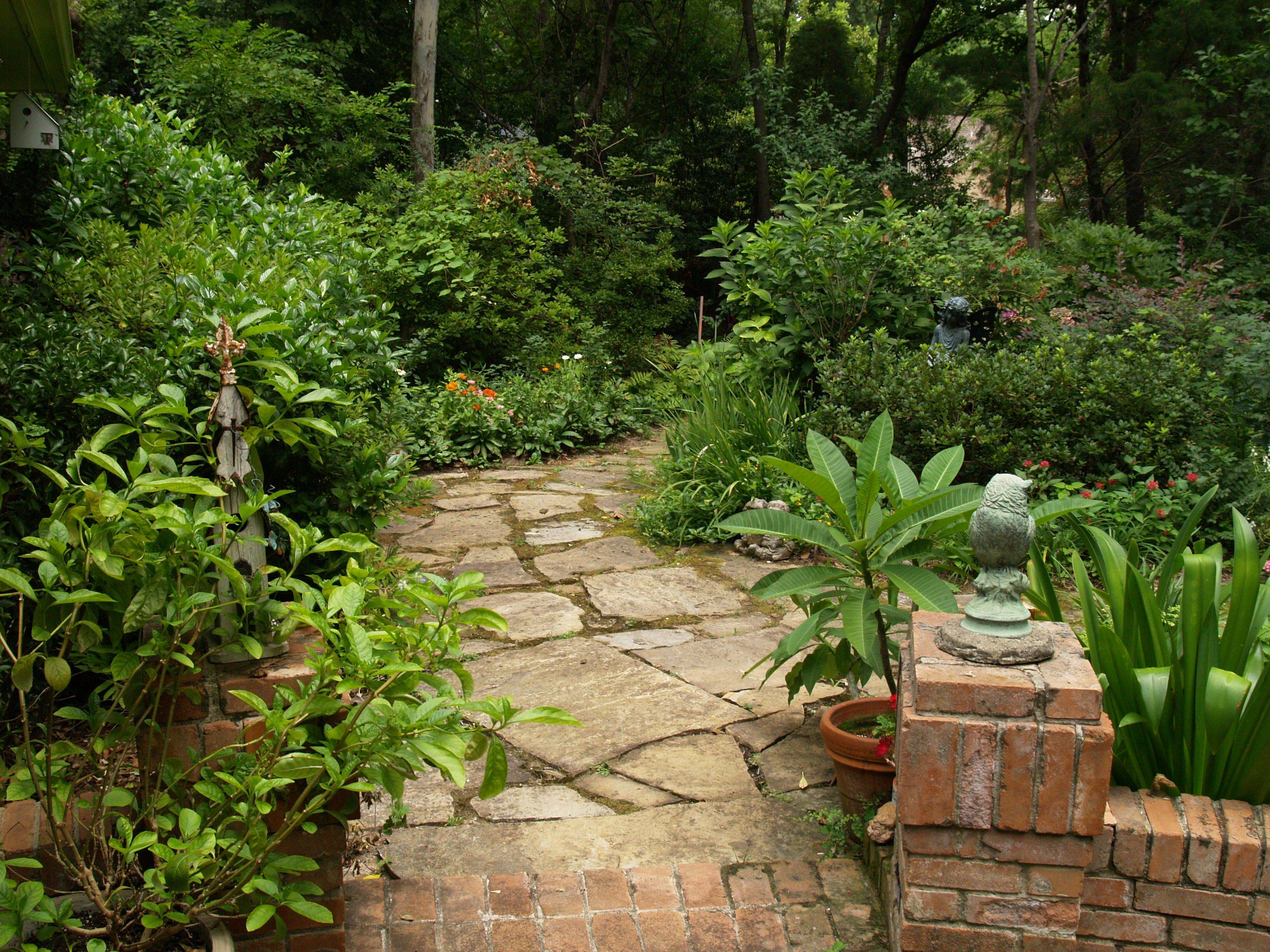 23 Tyler Rose Garden Ideas You Should Check | SharonSable