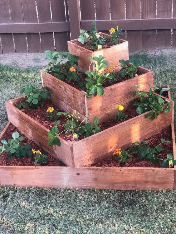 19 Tiered Raised Bed Vegetable Garden Ideas You Must Look | SharonSable