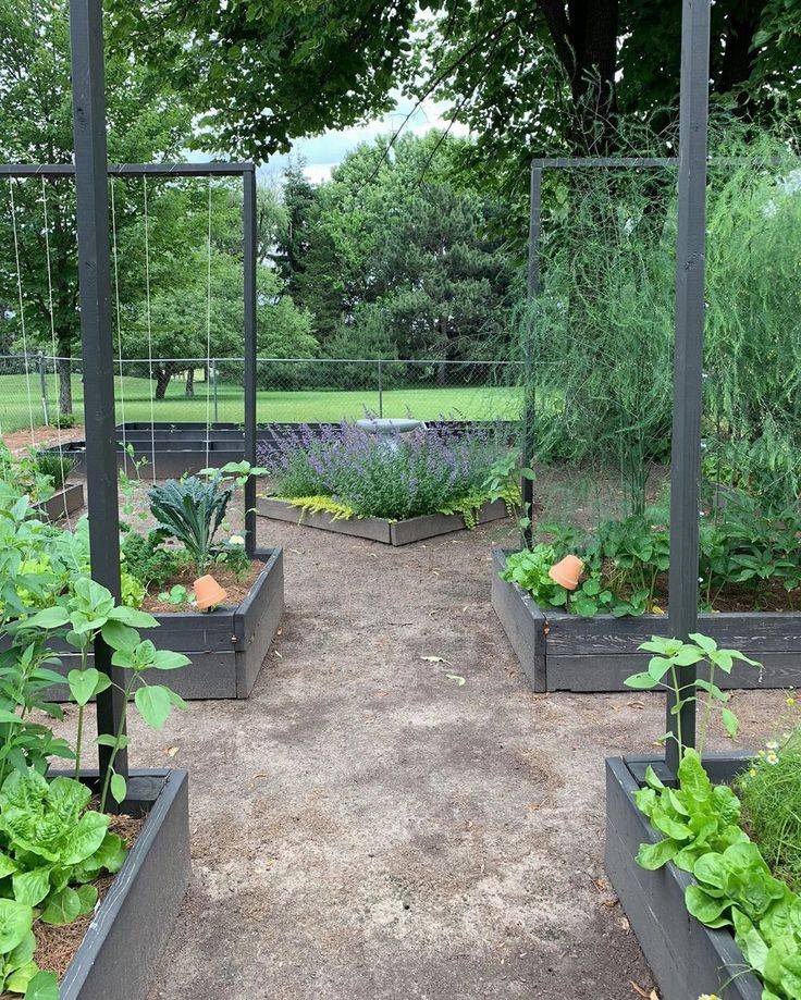 21 Raised Garden Bed with Trellis Ideas You Gonna Love | SharonSable