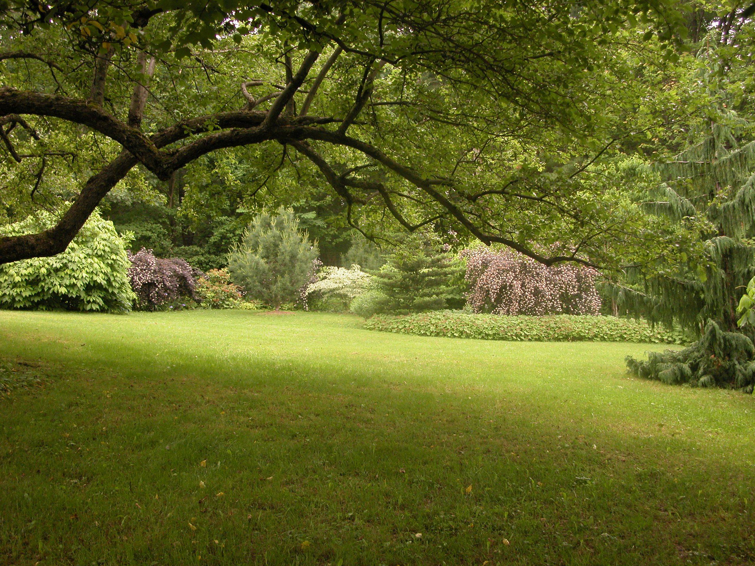 21 Overgrown Garden Ideas You Should Check | SharonSable