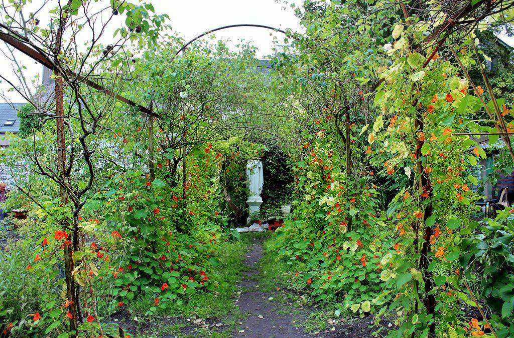 21 Overgrown Garden Ideas You Should Check | SharonSable