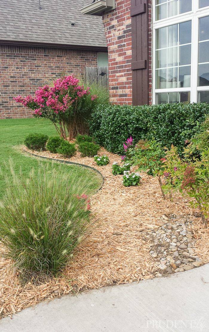 21 Overgrown Garden Ideas You Should Check | SharonSable