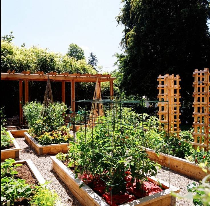 21 Summer Vegetable Garden Ideas To Try This Year Sharonsable