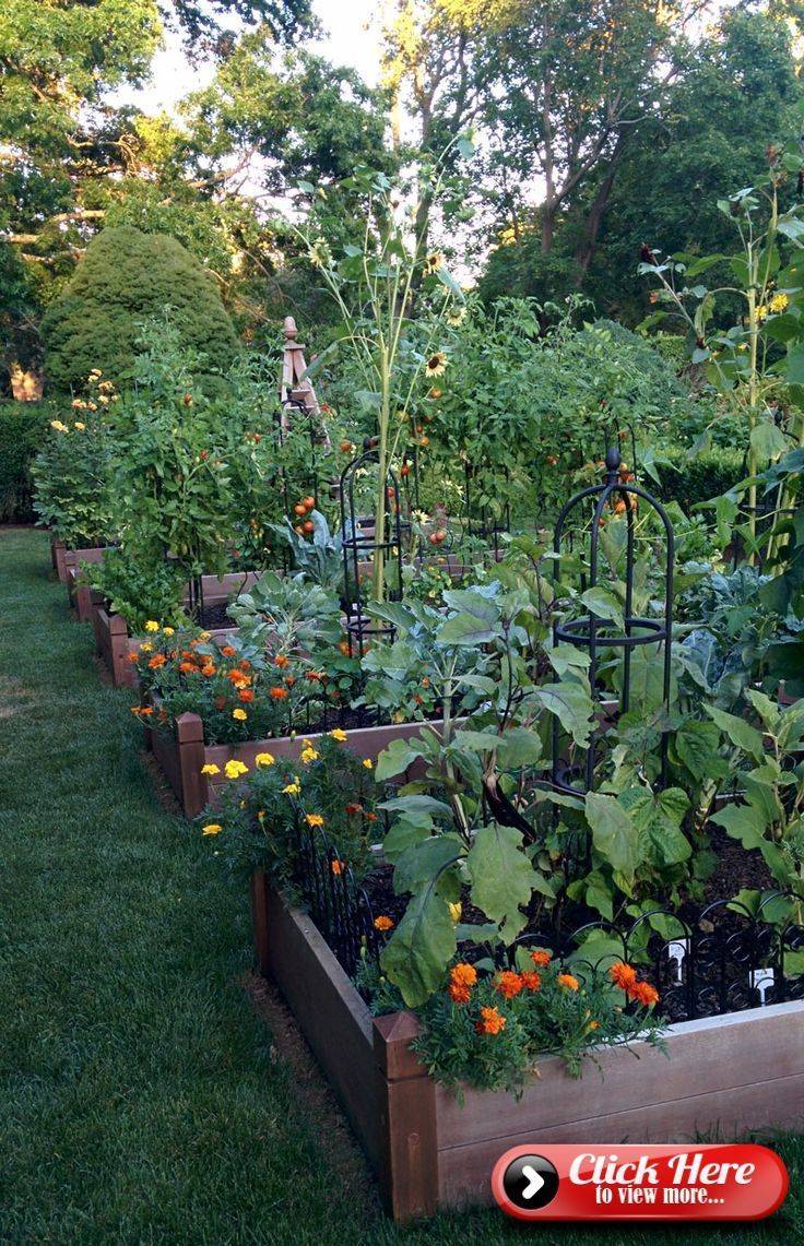 21 Summer Vegetable Garden Ideas To Try This Year | SharonSable