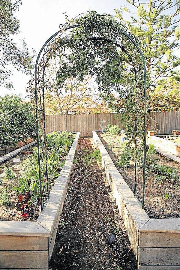 22 Arch Trellis for Raised Bed Garden Ideas You Should Look | SharonSable