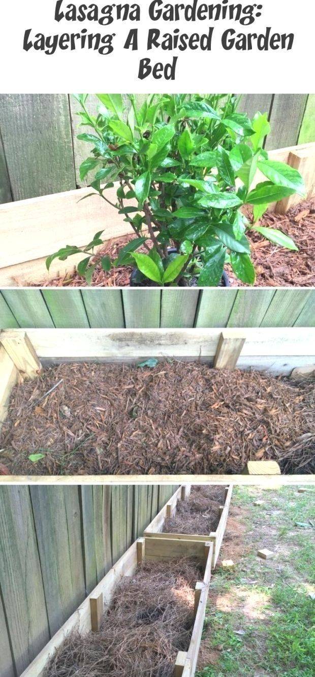 17 Raised Garden Bed Layers Ideas To Try This Year | SharonSable