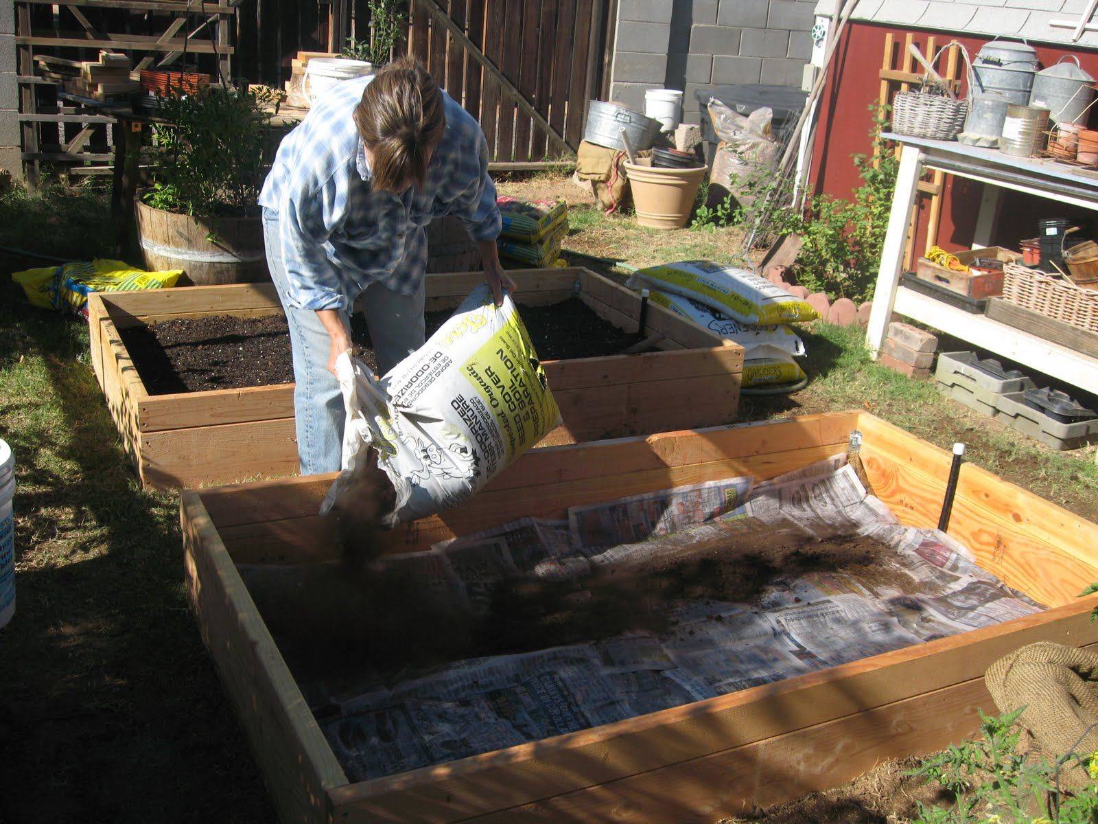 17 Raised Garden Bed Layers Ideas To Try This Year | SharonSable