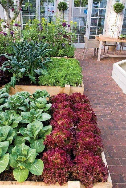 21 Pretty Vegetable Garden Ideas For This Year | SharonSable