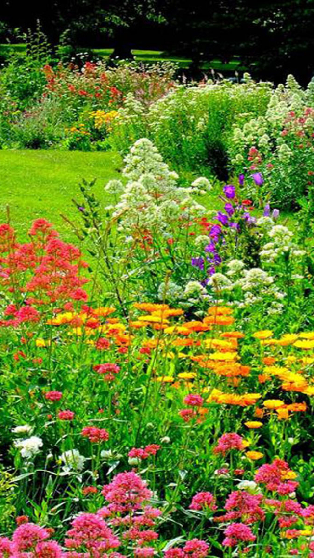 13 Beautiful Flower Garden Screensavers Ideas You Must Look | SharonSable