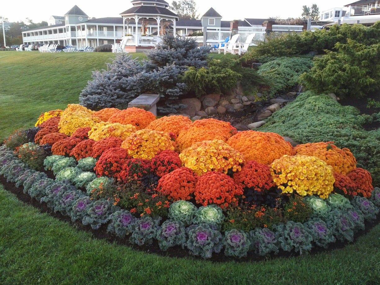 22 Beautiful Fall Flower Garden Ideas You Gonna Love | SharonSable